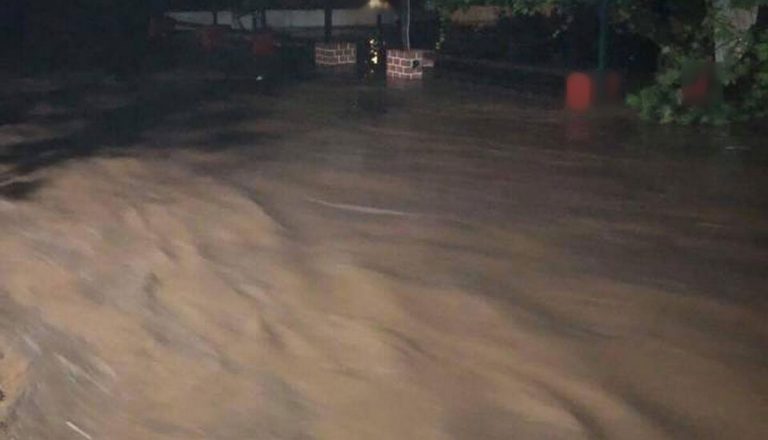 Τοπικά - Σελίδα 2 από 2425 - Lamia Report