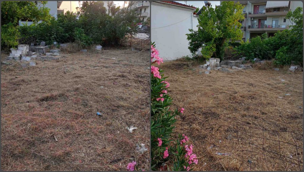 DeepSeek: Τι είναι και πώς λειτουργεί το αντίπαλο δέος της Open AI ...