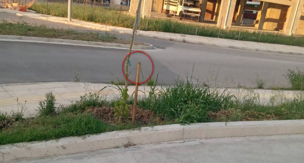 Τοπικά - Σελίδα 2 από 2395 - Lamia Report