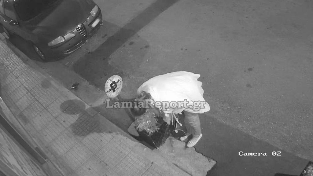 Λαμία: Η κάμερα την έπιασε να κλέβει τα φρεσκοφυτεμένα λουλούδια - Lamia Report